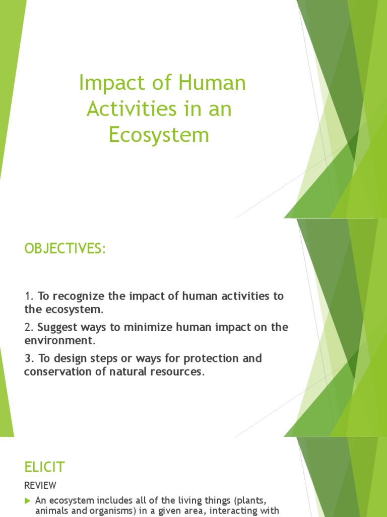 Impact of Human Activities in An Ecosystem | PDF | Human Impact On The ...