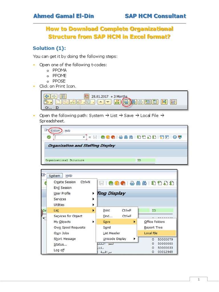 How To Download Complete Organizational Structure From SAP HCM in Excel ...