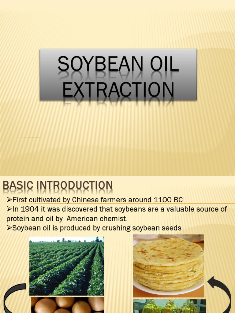 Soybean Oil Extraction | PDF | Solubility | Solvent