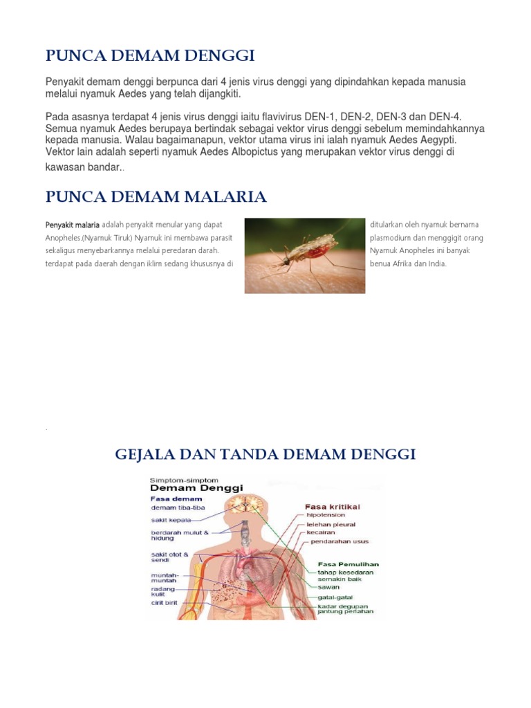 Punca Demam Denggi | PDF