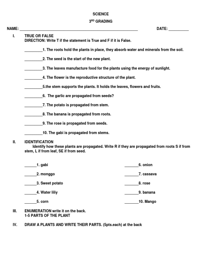 Grade 3 Exam | PDF