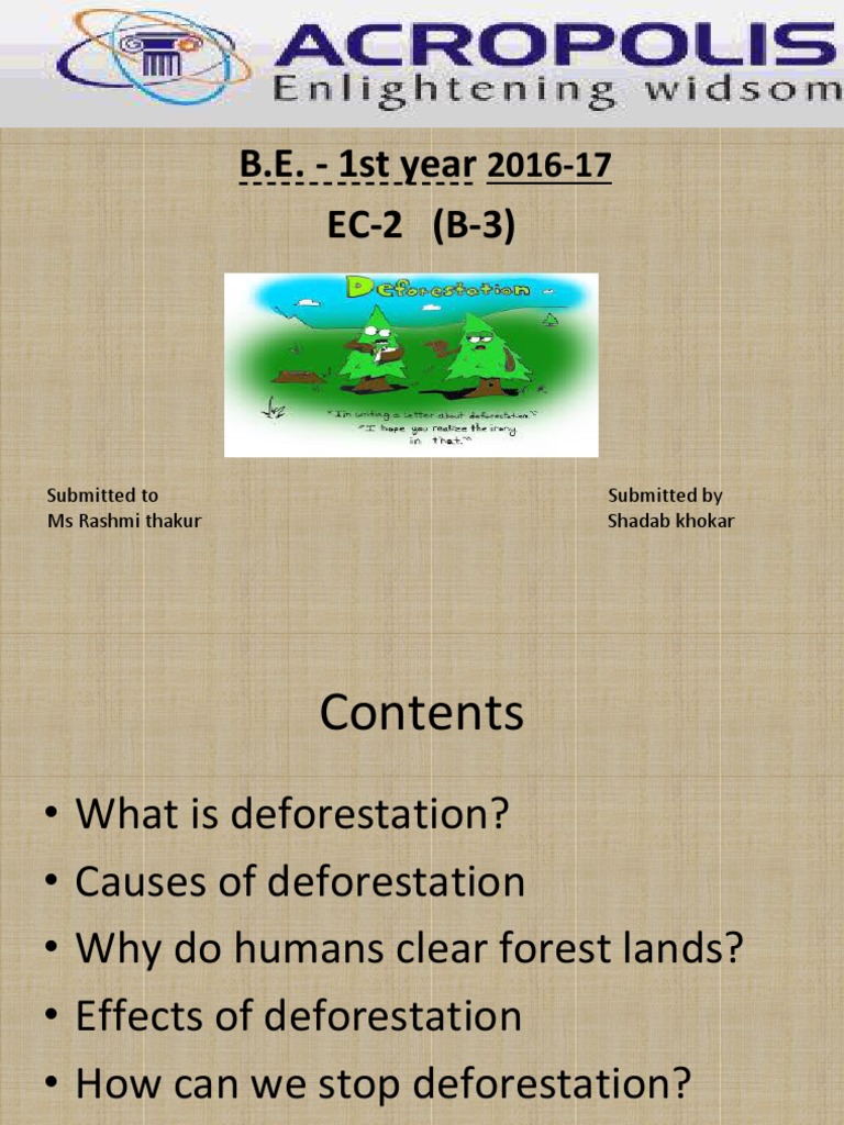 A Presentation On Deforestation | PDF | Deforestation | Logging