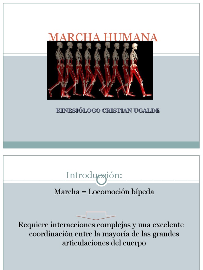 Marcha Humana | PDF | Pie | Tobillo