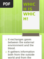 Feeding Program Narrative Report Sy 2018 - 2019 | PDF | Malnutrition ...