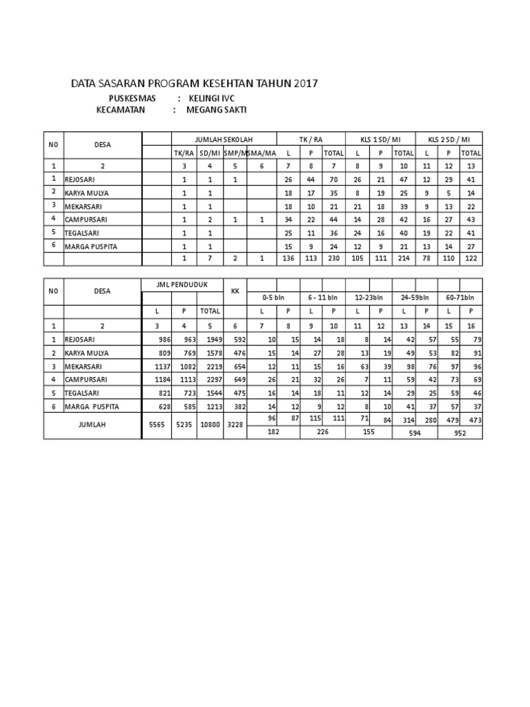 Book1data Sasaran Program Kesehatan THN 2017 | PDF