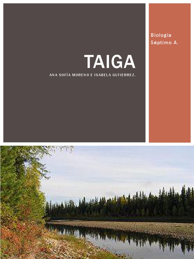 Bioma Taiga: Características y Especies | PDF | Habitat | Biogeografia