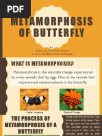 Insects Pdf Insects Lizard