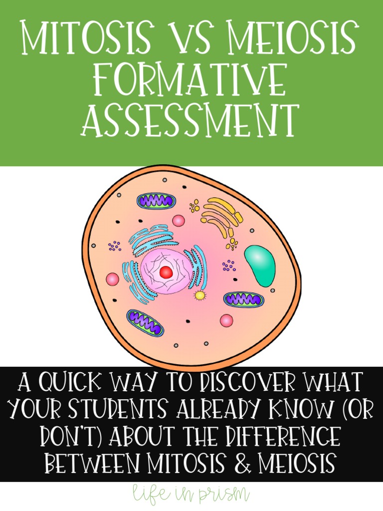 Mitosis Vs Meiosis Formative Assessment | PDF