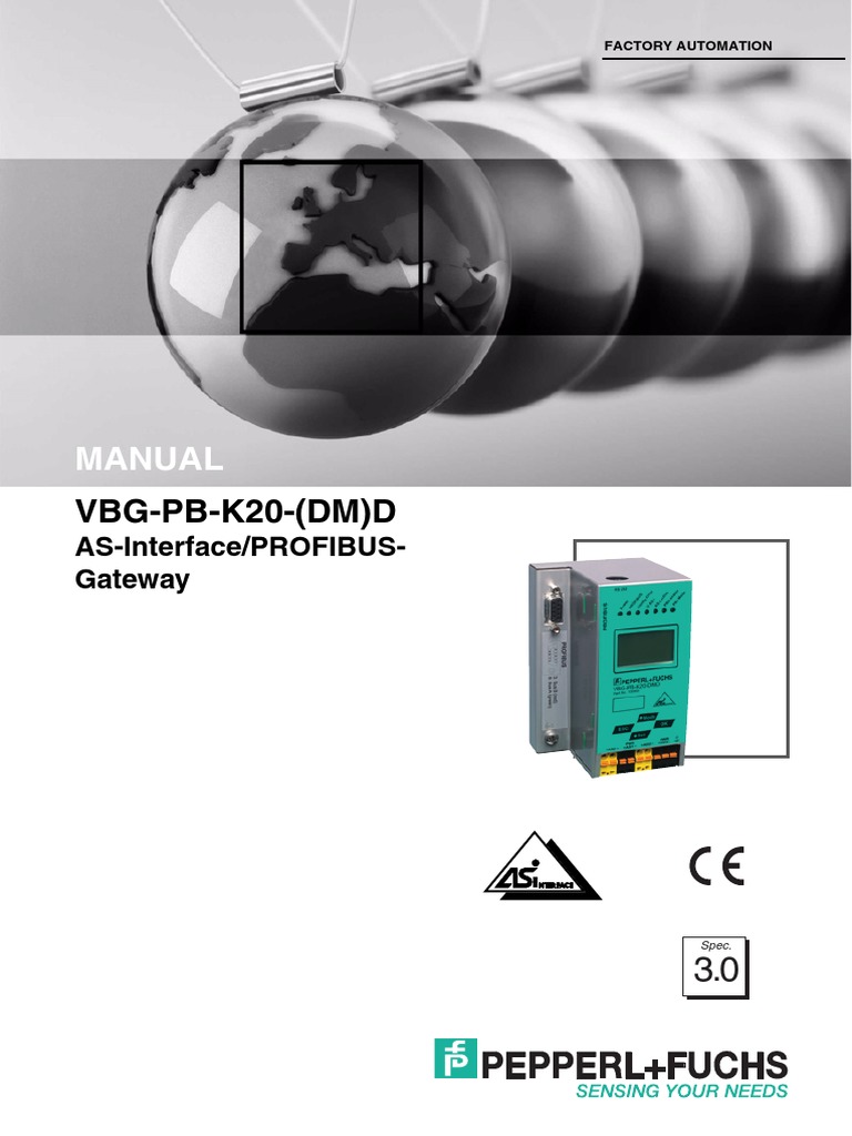 Pepper Fuchs Asi PDF | PDF | Parameter (Computer Programming) | Input/Output