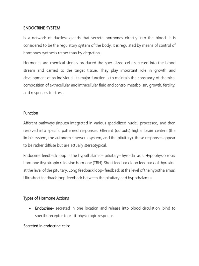 Endocrine System | PDF