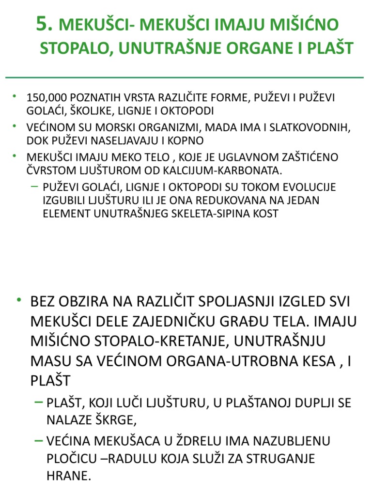Prezentacija Mekusci | PDF