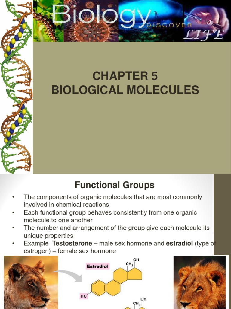 Chapter 5 | PDF | Directionality (Molecular Biology) | Rna
