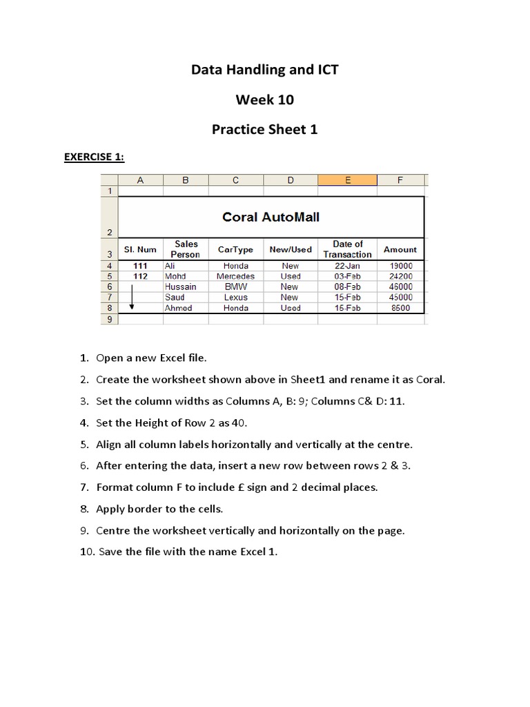 Excel Practice Exercises for Students | PDF