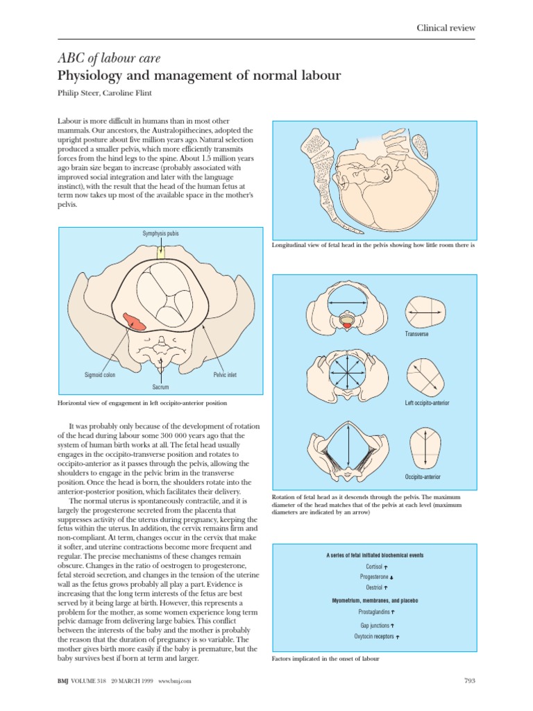 ABC Care Penting | PDF | Childbirth | Fetus