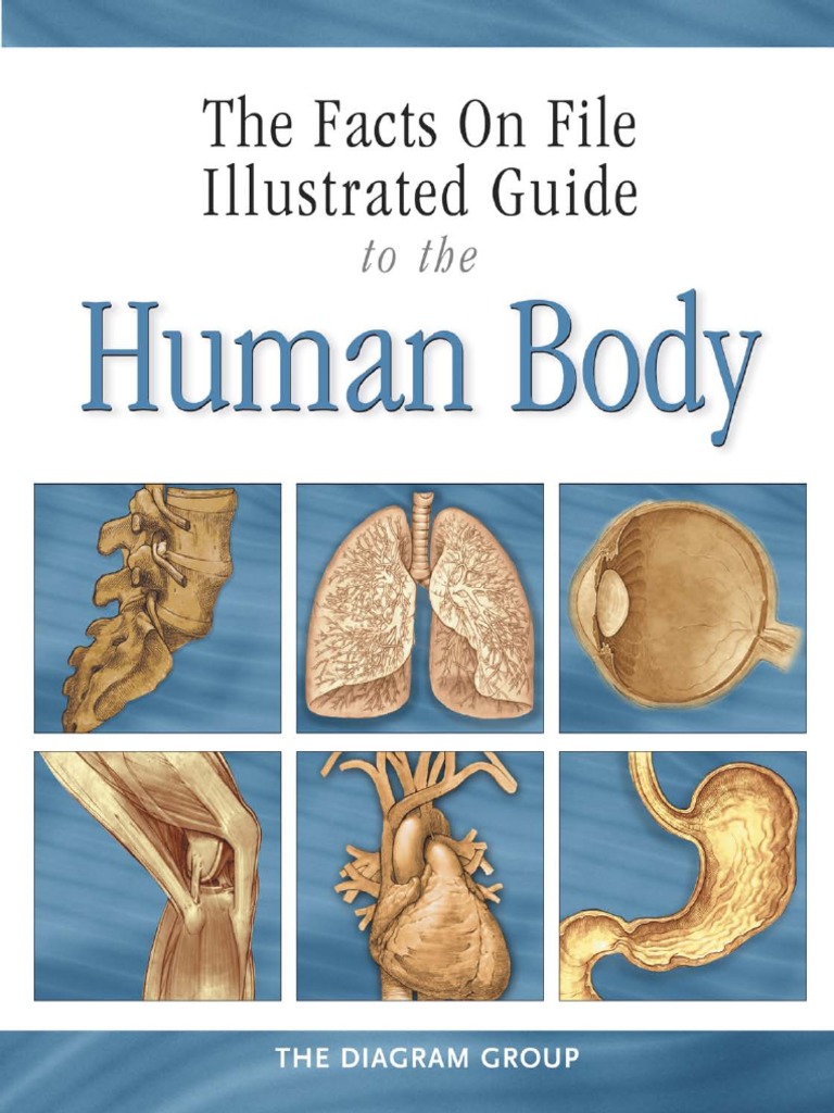 The Facts On File Illustrated Guide To The Human Body - Digestive ...