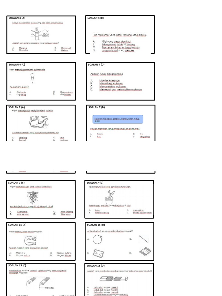 Soalan Dam Ular Sains | PDF