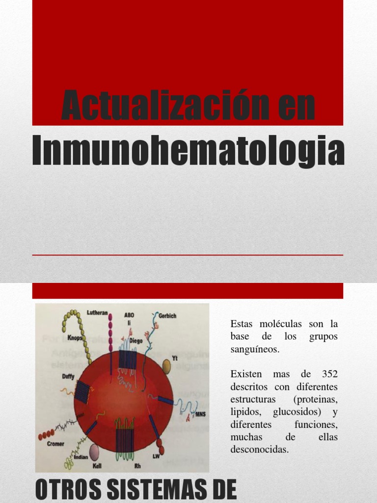 INMUNOHEMATOLOGIA | PDF | Tipo de sangre | Antígeno