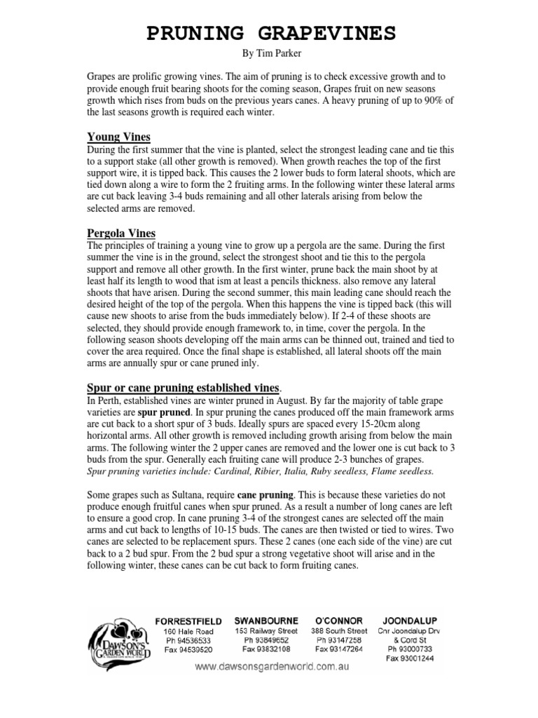 Pruning Grapevines | PDF | Vitis | Outdoor Recreation