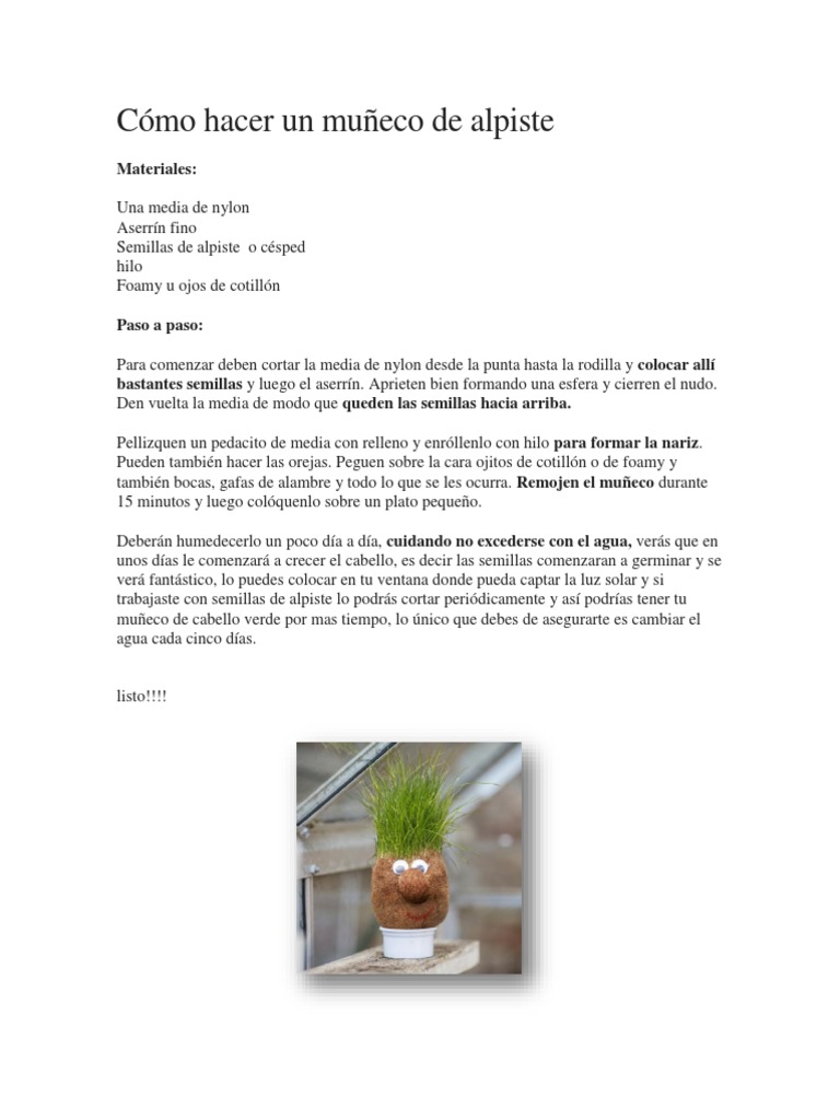 Muñeco de alpiste: guía paso a paso | PDF | Relaciones personales ...