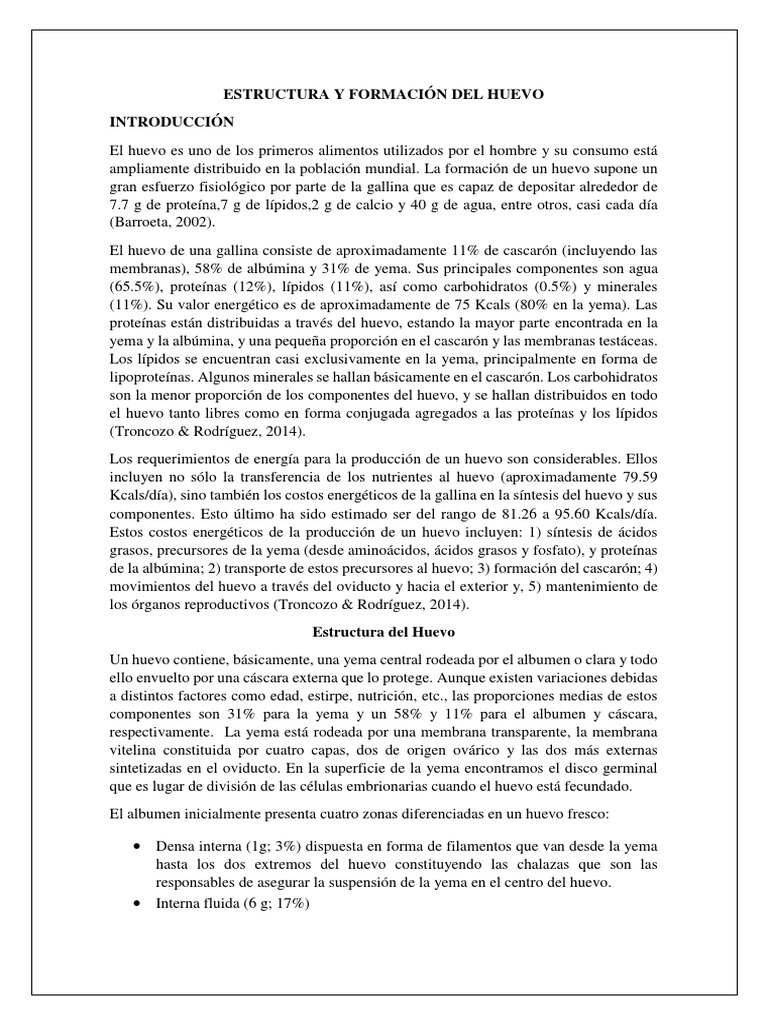 Estructura y Formación Del Huevo | PDF | Huevo | Yema de huevo