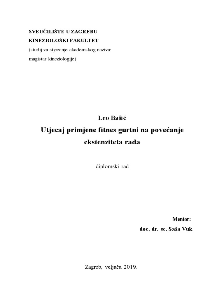 Diplomski Rad | PDF