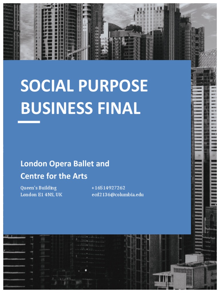 Social Purpose Business - Final Project | PDF | Monopoly | Demand