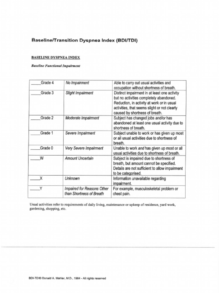 Bdi Tdi PDF | PDF