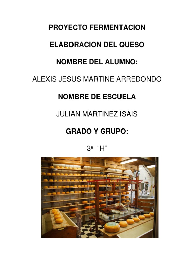 Proyecto Fermentacion | PDF | Queso | Leche