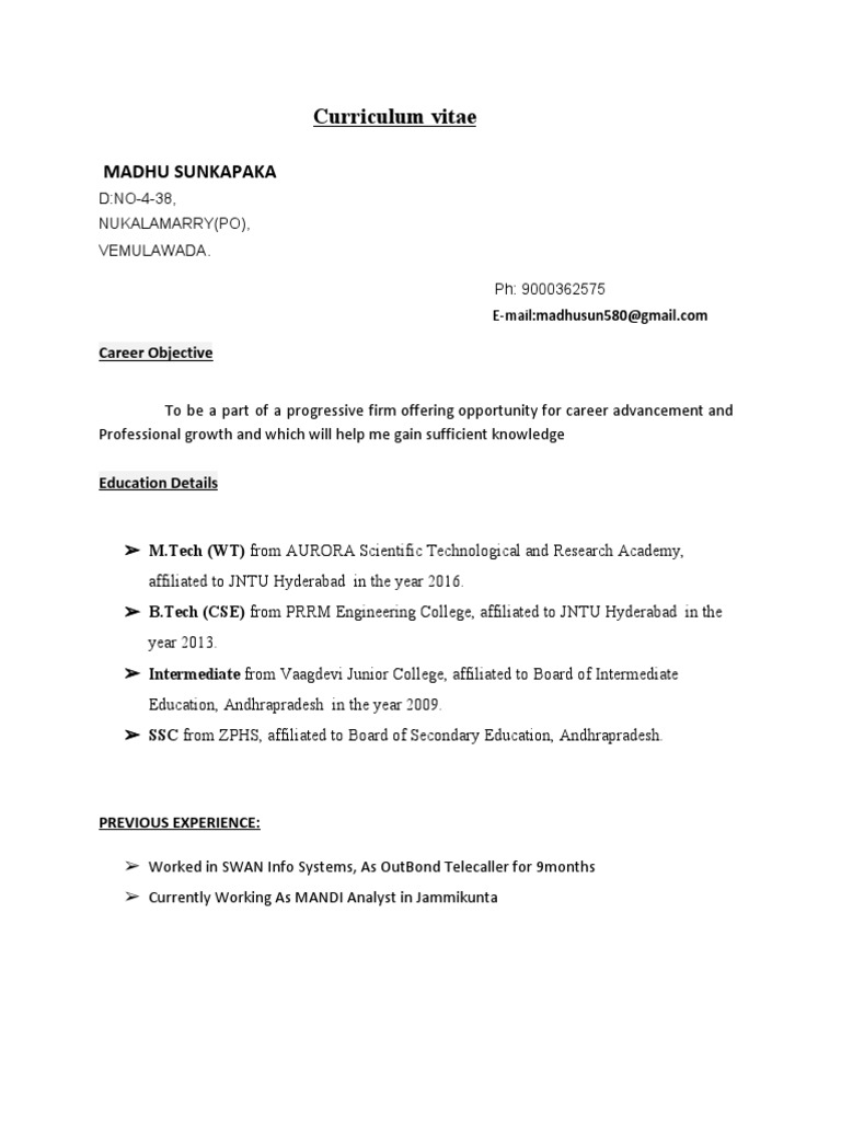 Curriculum Vitae: Madhu Sunkapaka | PDF