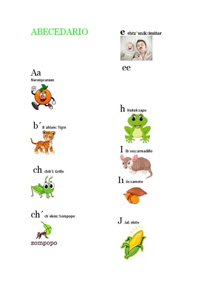 Abecedario: Aa Ee | PDF