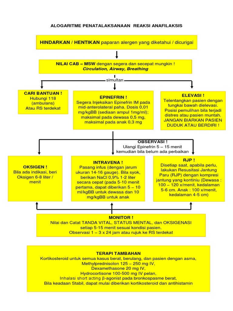 Alogaritme Penatalaksanaan Reaksi Anafilaksis | PDF