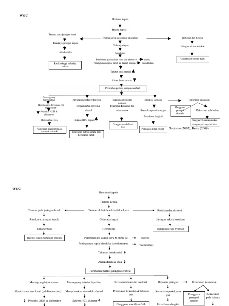 WOC Head Injury | PDF