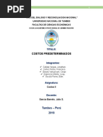 Presupuesto de Costos de Ventas | PDF | Costo | Presupuesto