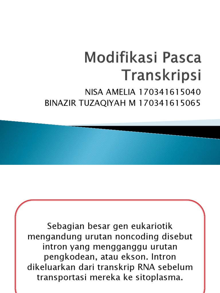 Proses Splicing dan Modifikasi RNA | PDF