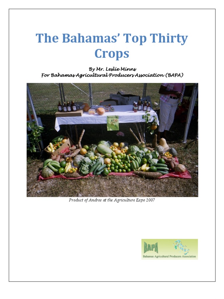 The Potential of Agriculture in The Bahamas: An Analysis of the Top ...