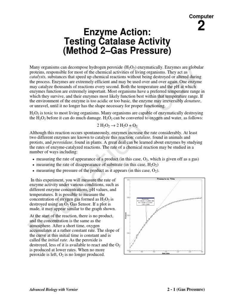 Enzyme Action - Testing Catalase Activity | PDF | Hydrogen Peroxide ...