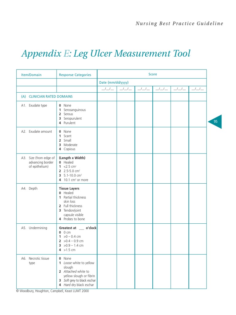 Appendix: Leg Ulcer Measurement Tool: Nursing Best Practice Guideline ...