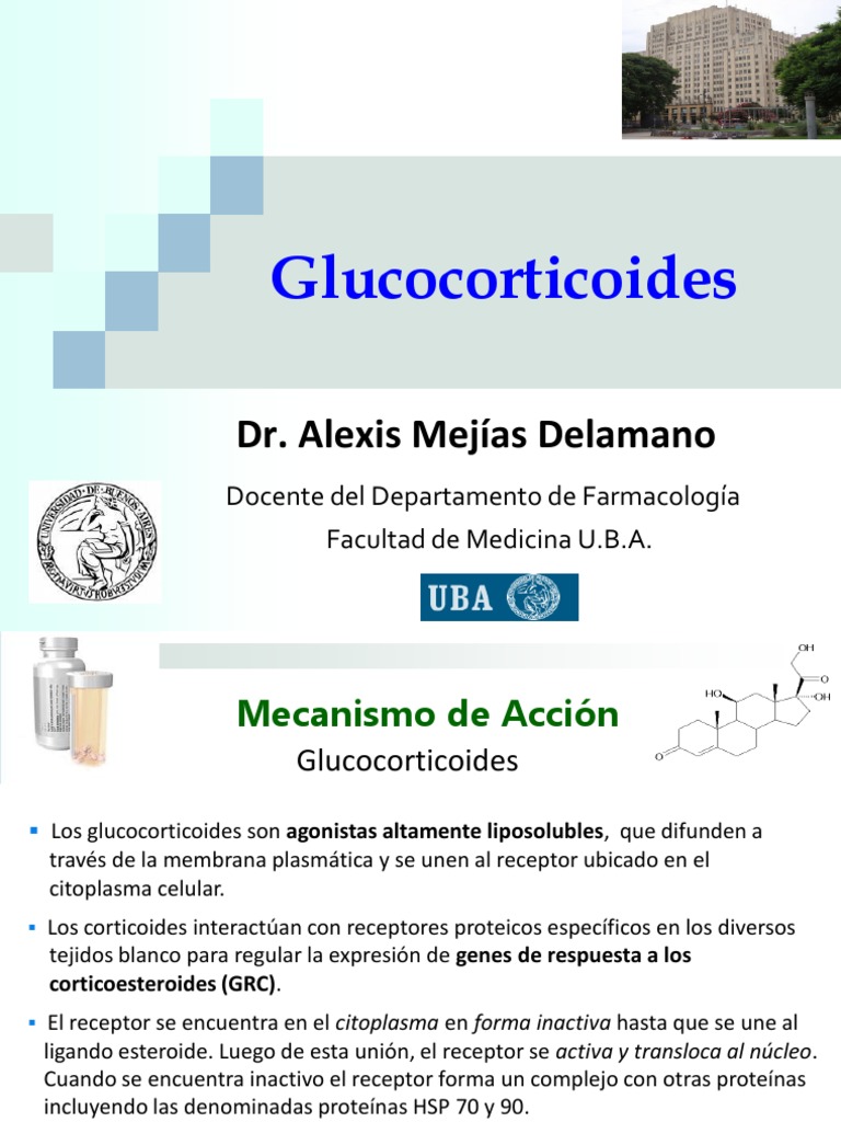 Glucocorticoides2010 13027501575066 Phpapp02 PDF | PDF ...