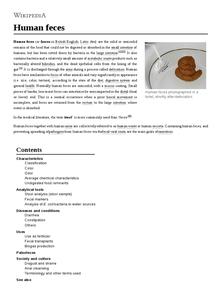 Human Feces | PDF | Human Feces | Digestive System