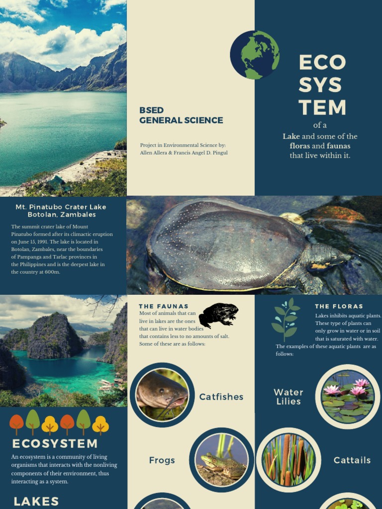 Sample Brochure about ecosystem of lakes | Lake | Earth & Life Sciences ...