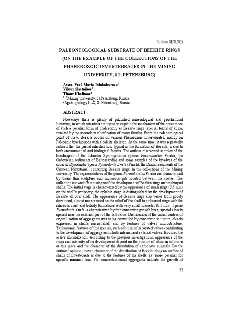 Beekite Rings in Fossil Collections | PDF | Fossil | Bivalvia