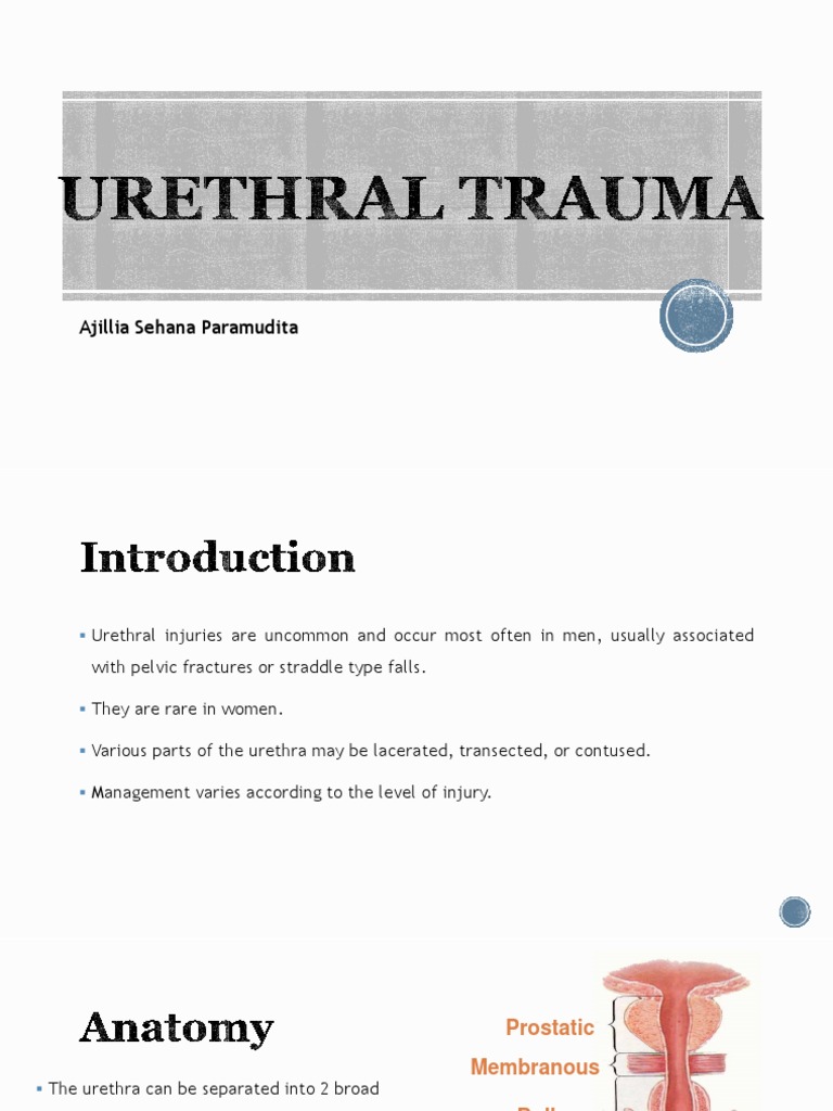 Tutorial Trauma Uretra Ajillia | PDF | Genitourinary System | Urology