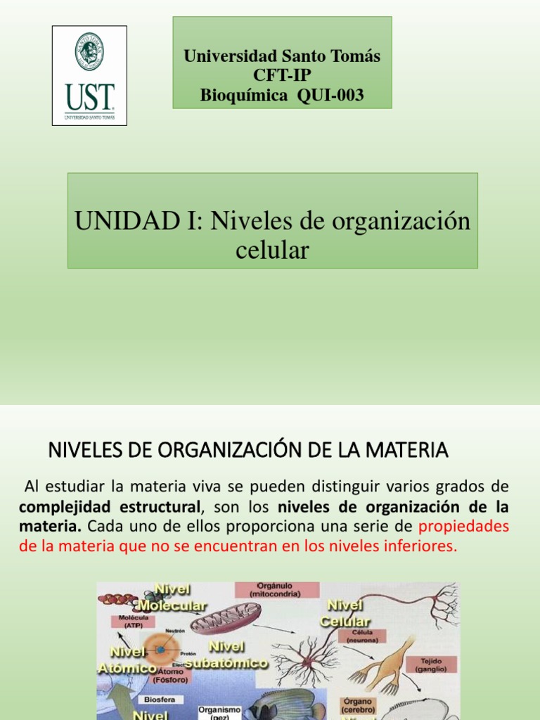 Niveles de Organización Celular | PDF | Biología Celular) | Organismos