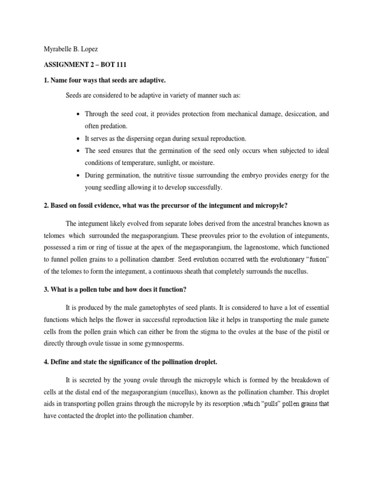 Lopez - Assignment 2 BOT 111 | PDF | Seed | Pollination