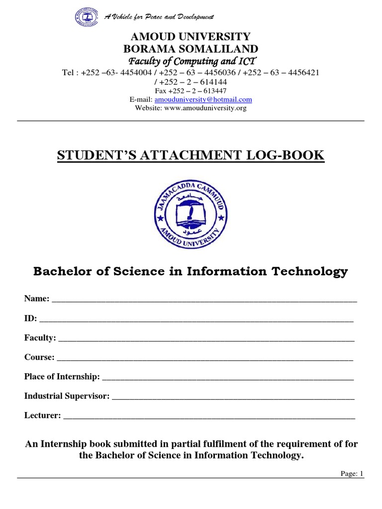 ICT Internship Logbook Guide | PDF