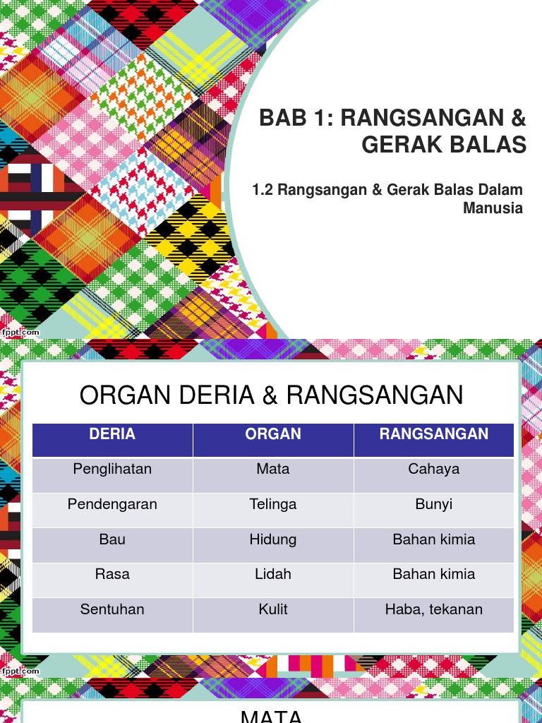 Bab 1 Sains Tingkatan 3 Pdf