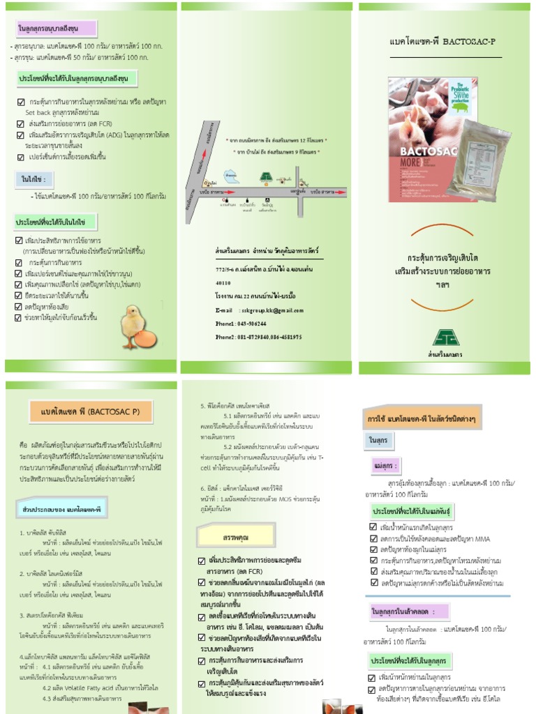 Bactosac Probiotics | PDF