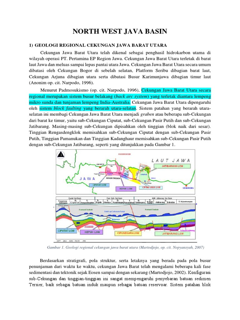 North West Java Basin (Highlight) | PDF | Sains & Matematika