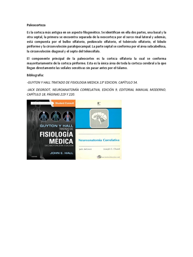 Paleocorteza: Estructura y Función | PDF | Ciencias sociales
