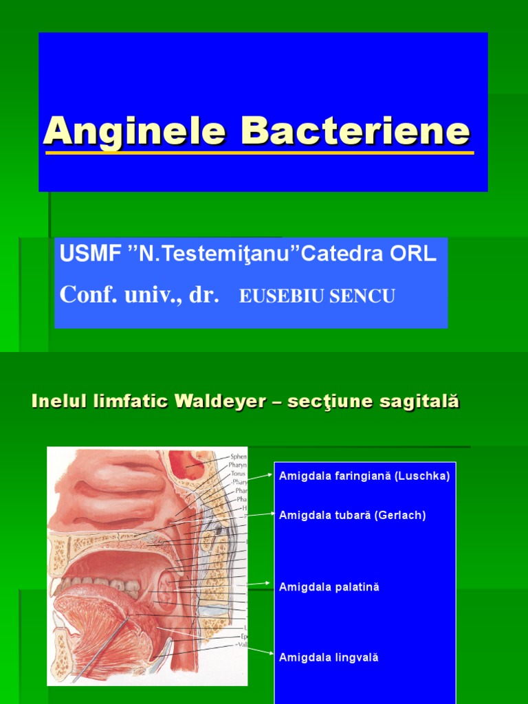 Angine Prelegere | PDF